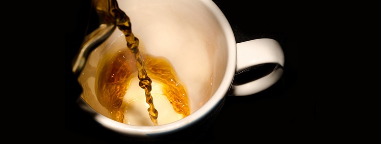 Getting Yourself an Intern!